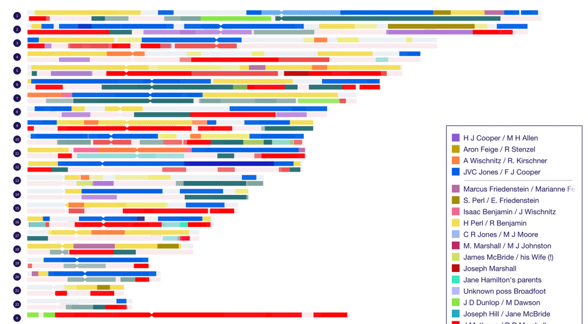 Why map your chromosomes? | DNA Painter Blog | Chromosome Mapping
