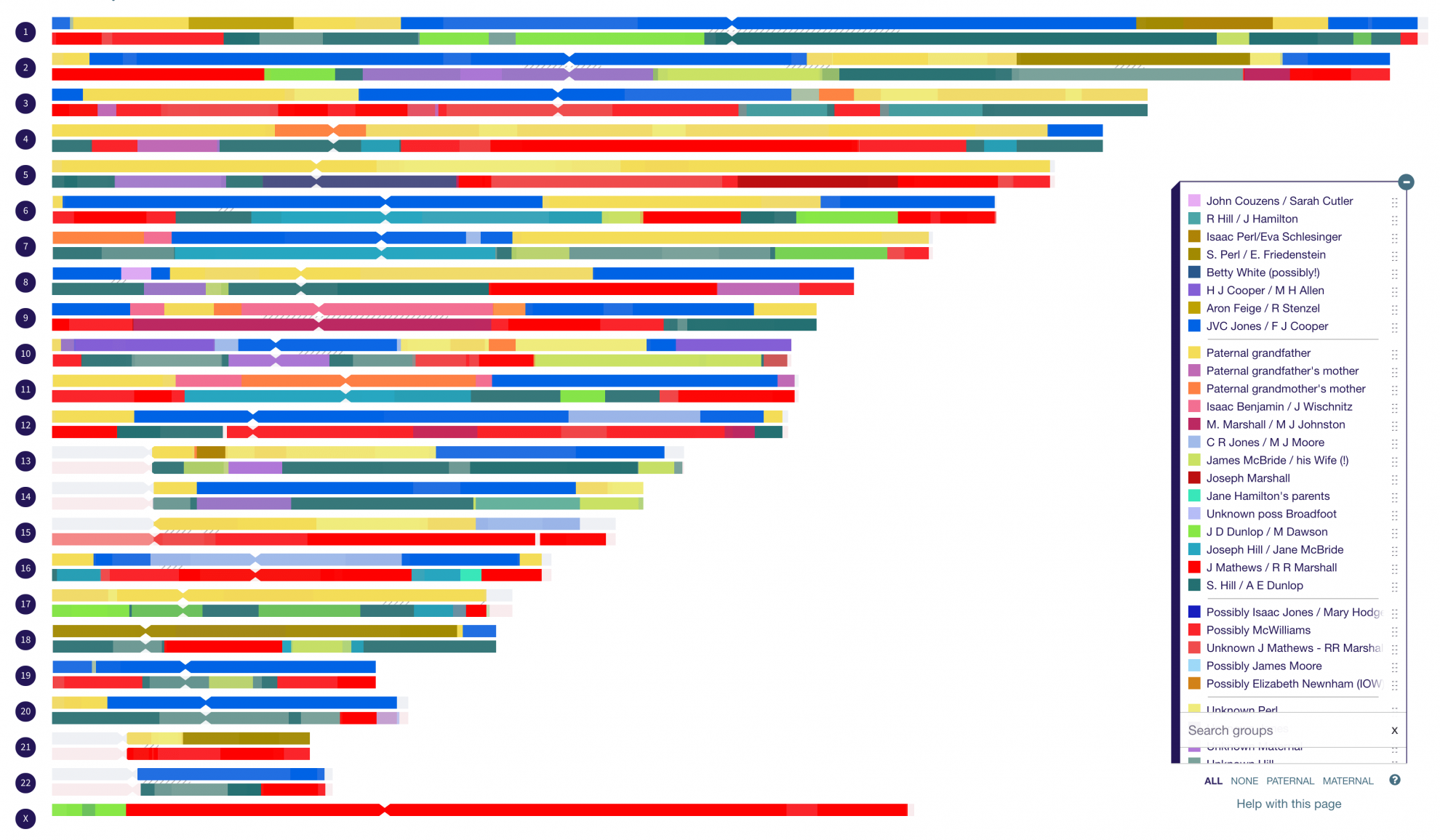 Investigating a new DNA match | DNA Painter Blog