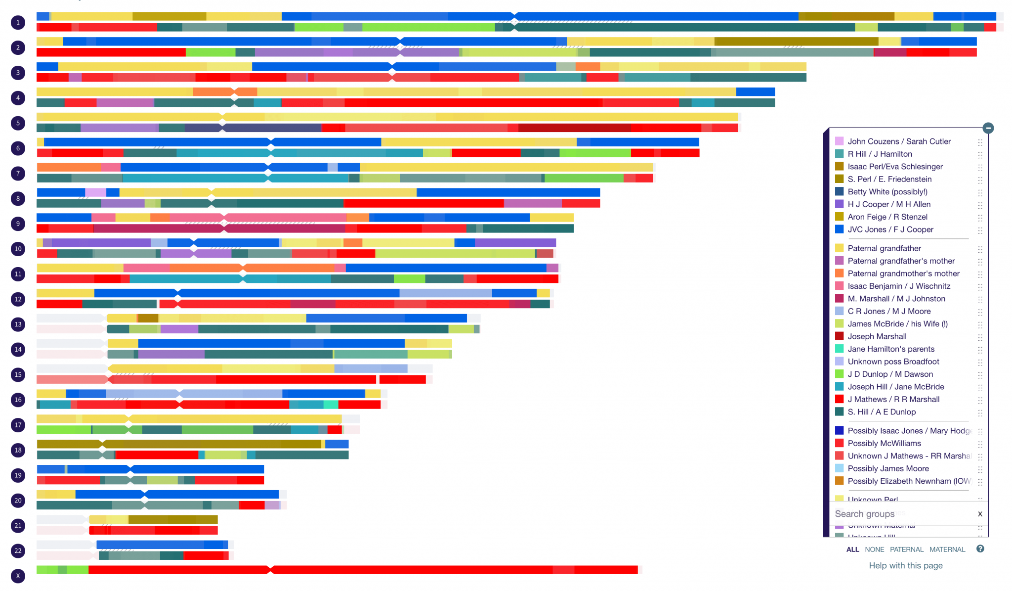 Investigating a new DNA match | DNA Painter Blog