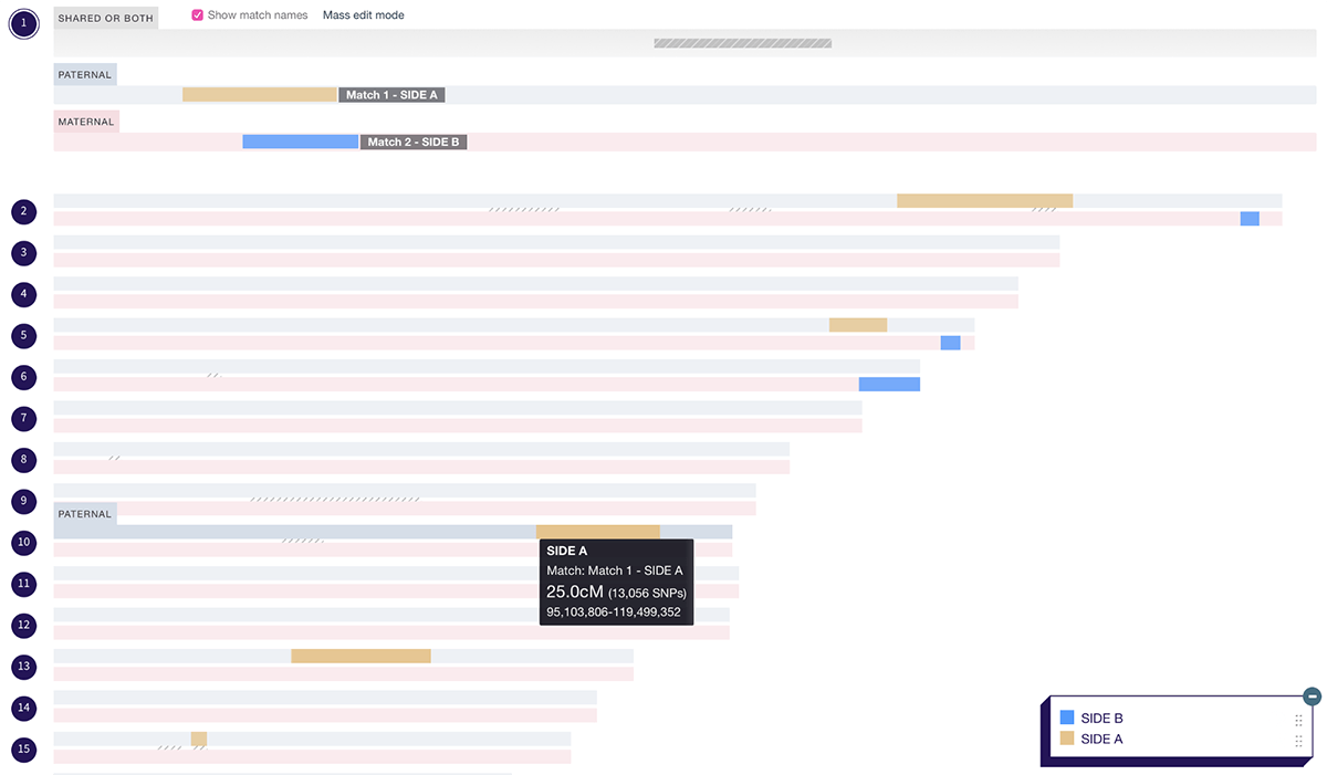 Using segment data to identify unknown DNA | DNA Painter Blog