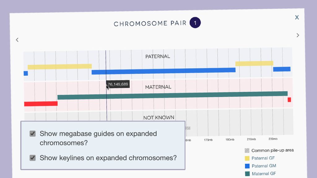 New gridlines and enhanced chromosome view in maps | DNA Painter Blog