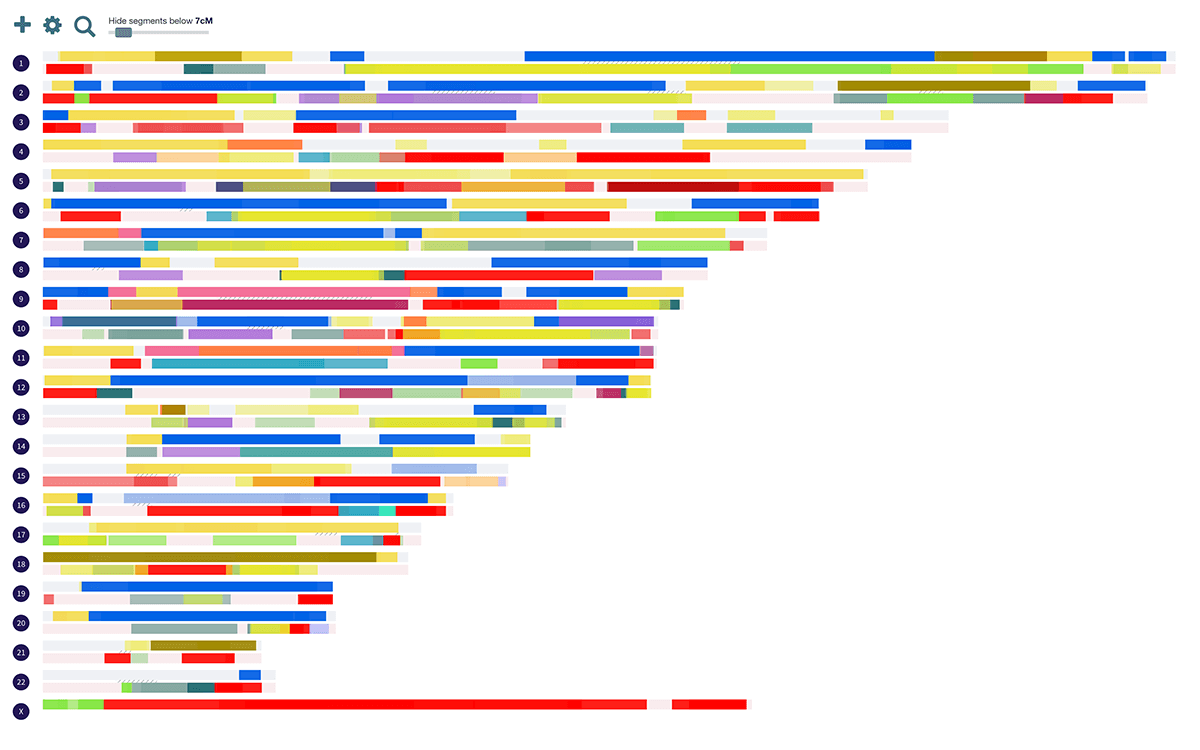 Finally! A cM slider for chromosome maps | DNA Painter Blog