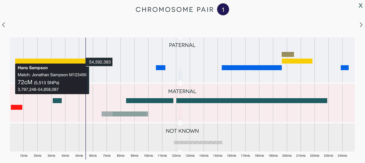 Customizing your chromosome map: did you know? #4 | DNA Painter Blog