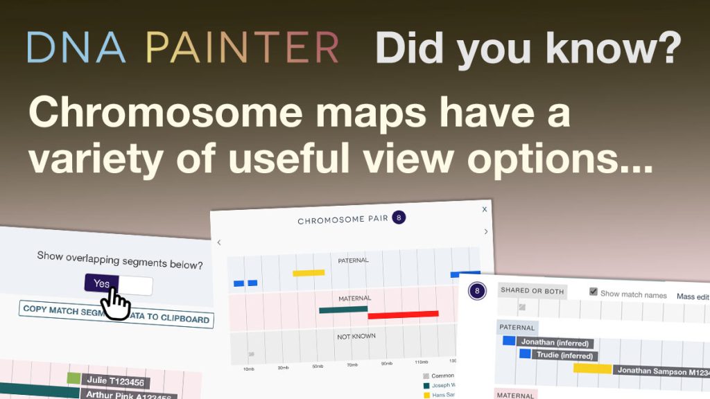 Different views in your chromosome map: did you know? #5 | DNA Painter Blog