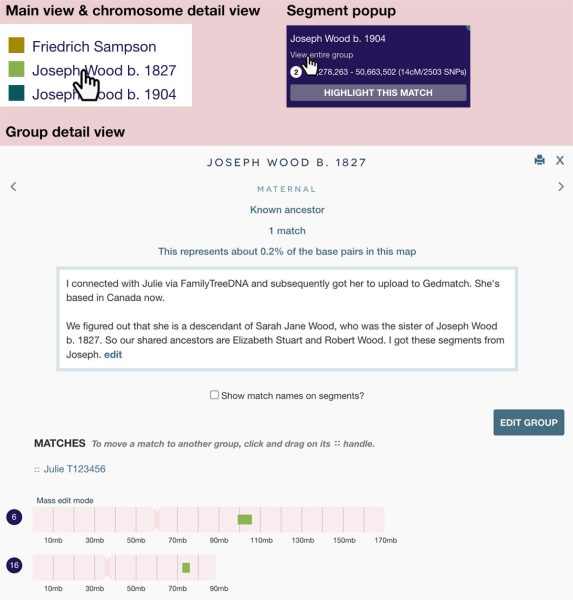 Different views in your chromosome map: did you know? #5 | DNA Painter Blog