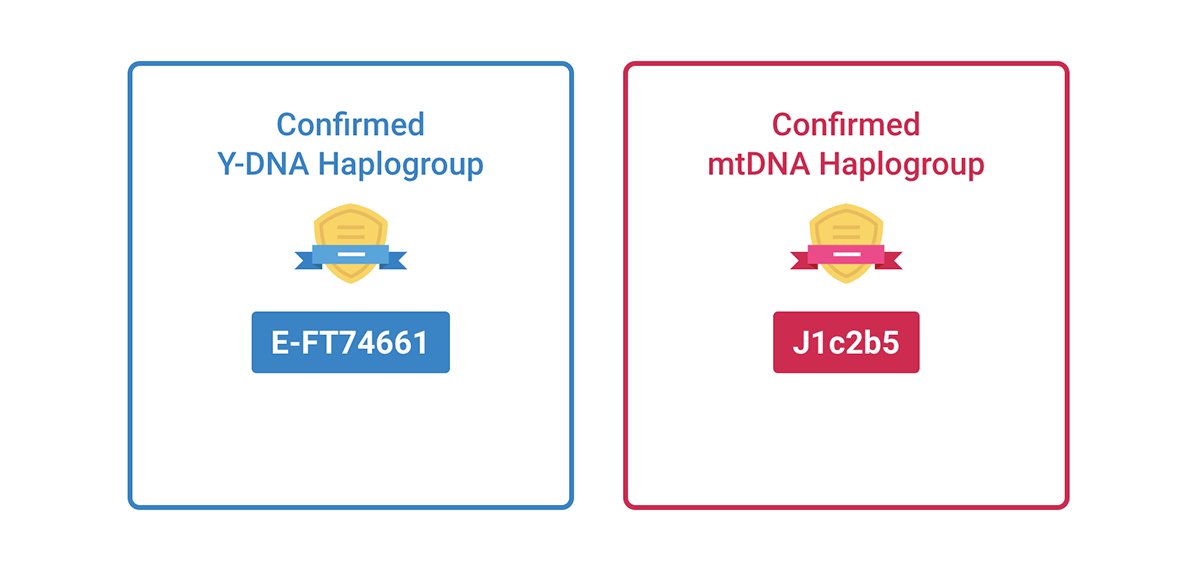 New: Showcase your roots with Y & mtDNA in your chromosome map | DNA ...