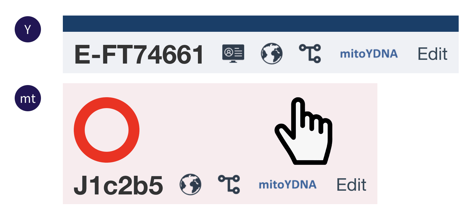 New: Showcase your roots with Y & mtDNA in your chromosome map | DNA ...