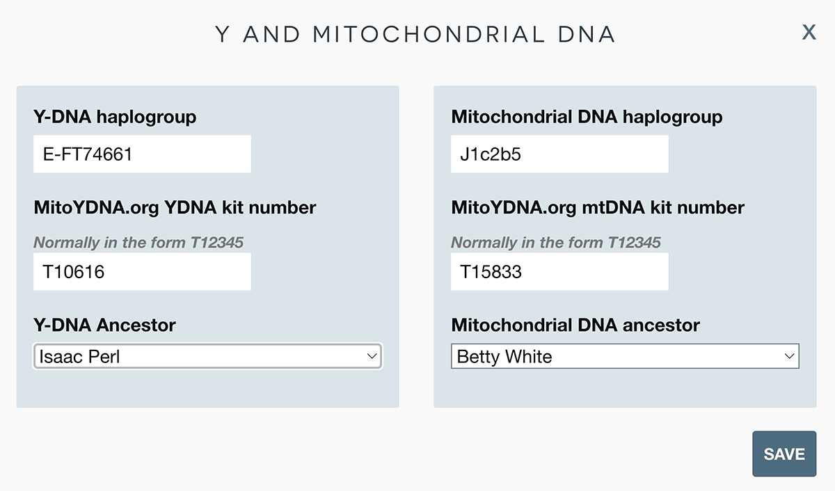 New: Showcase your roots with Y & mtDNA in your chromosome map | DNA ...