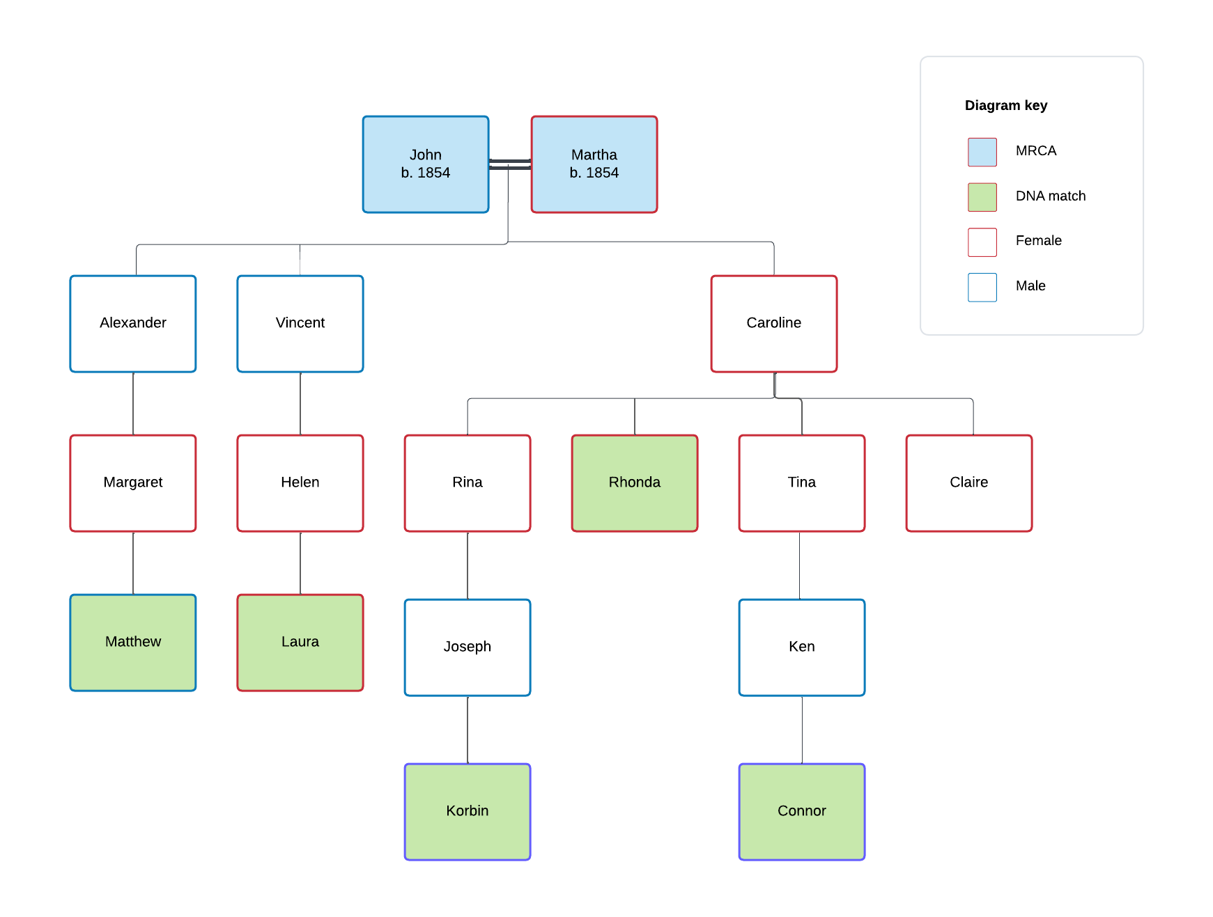 Using WATO plus to find an unknown parent | DNA Painter Blog