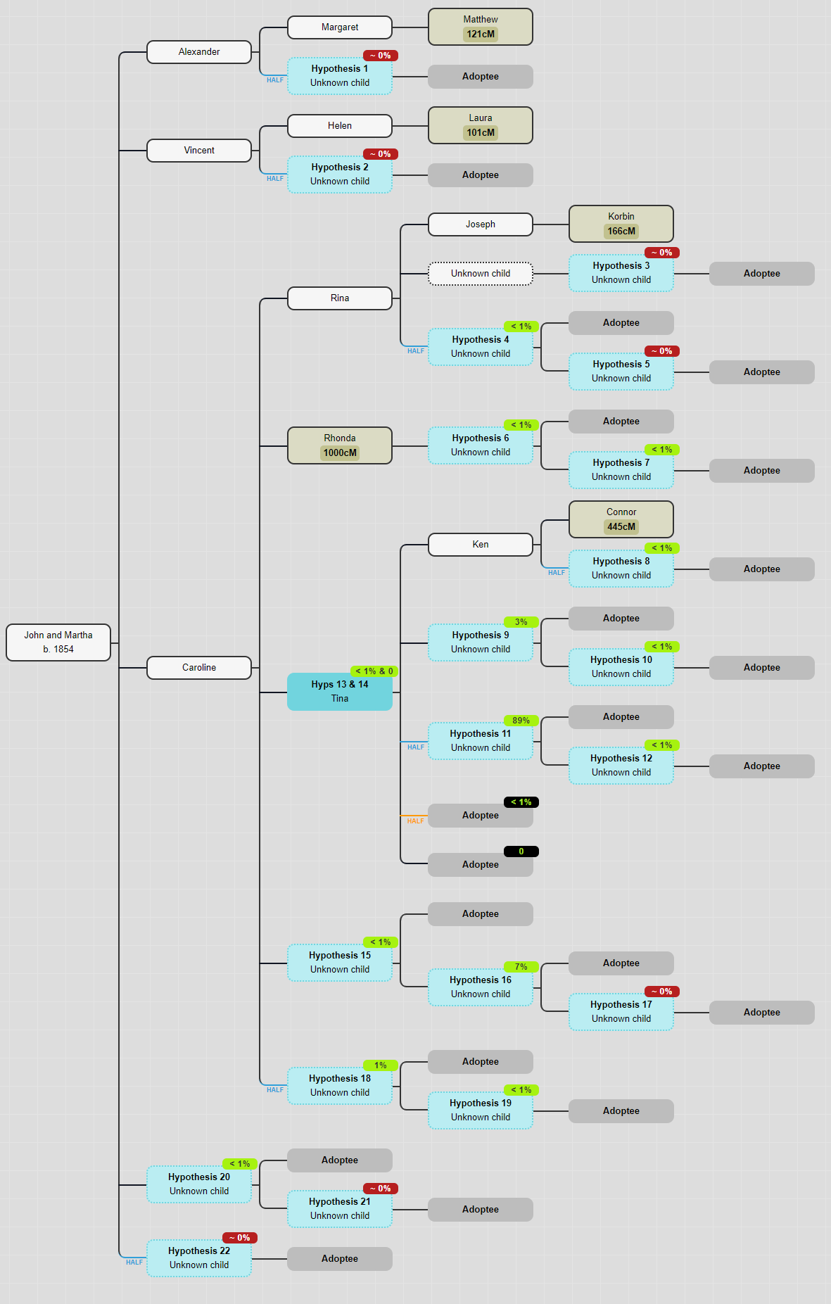 Using WATO plus to find an unknown parent | DNA Painter Blog