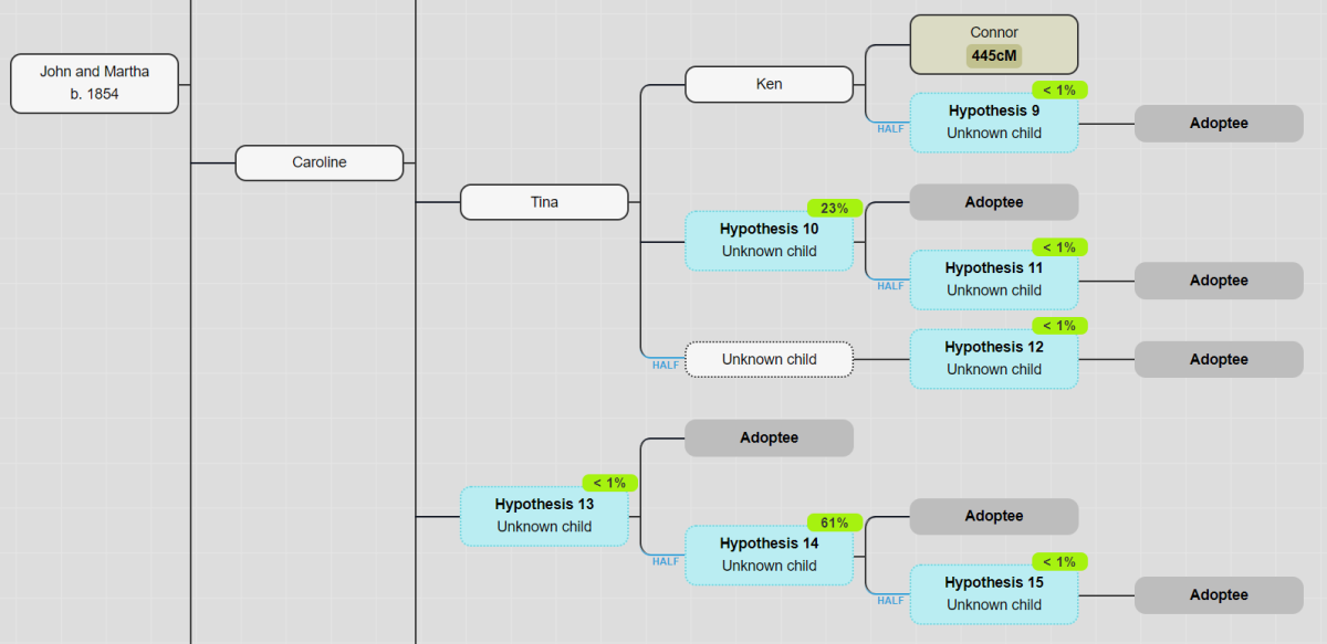 Using WATO plus to find an unknown parent | DNA Painter Blog