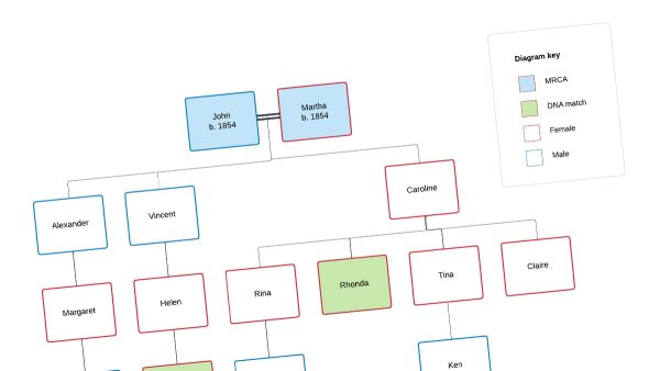 Using WATO plus to find an unknown parent | DNA Painter Blog