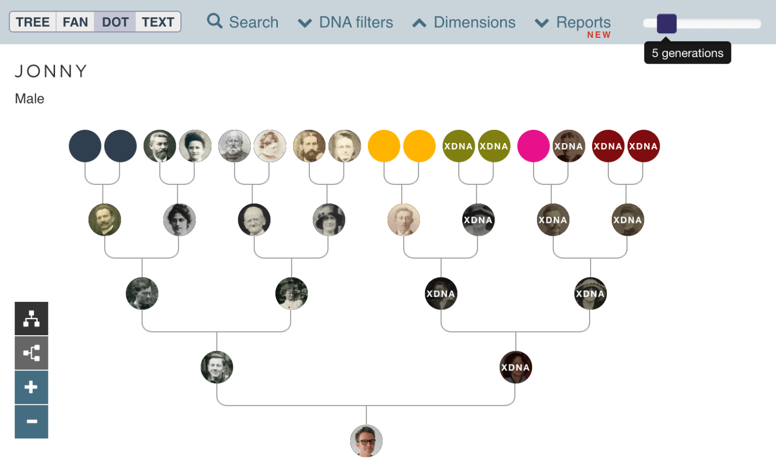 Enhanced ancestral trees: Brick Walls, Pictures and Dots | DNA Painter Blog