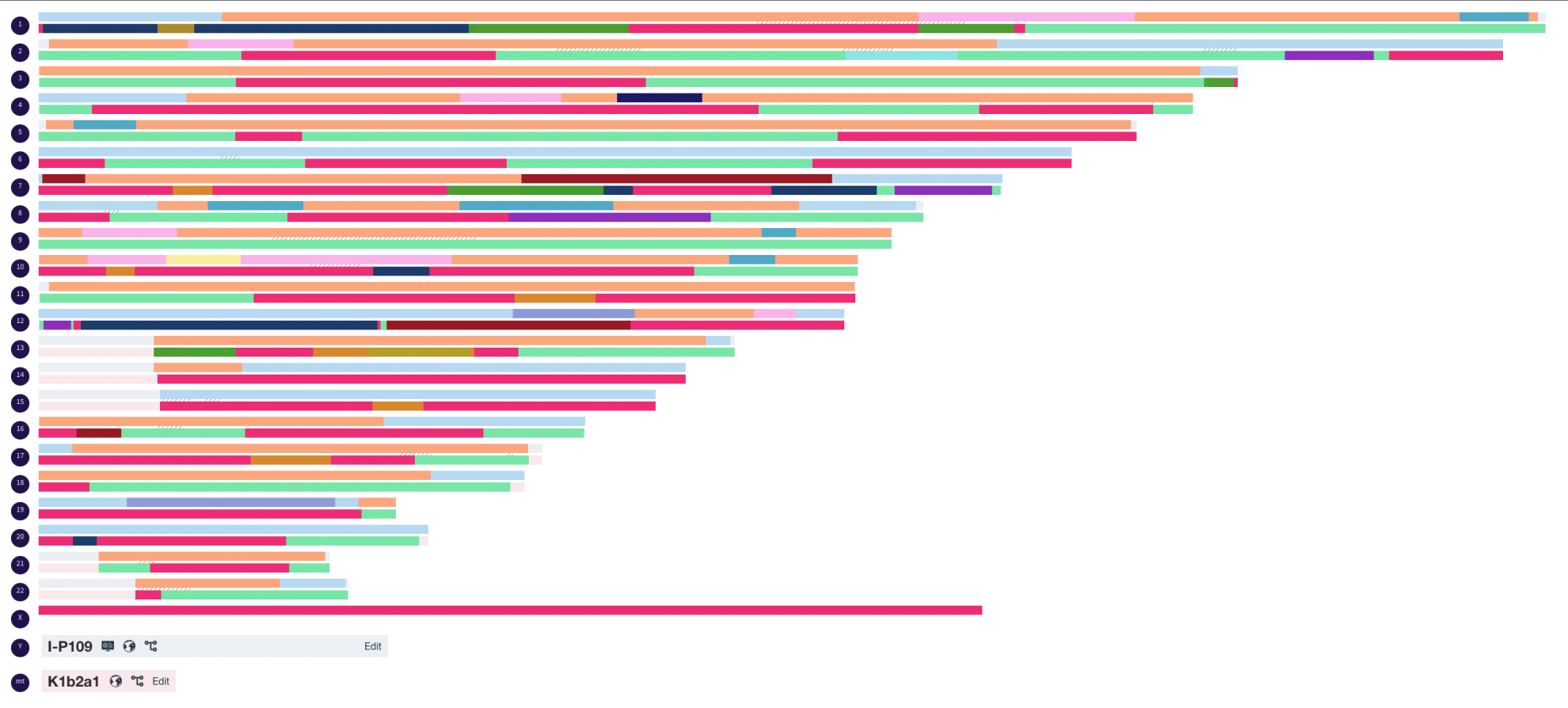 Mapping an untested grandparent’s DNA | DNA Painter Blog