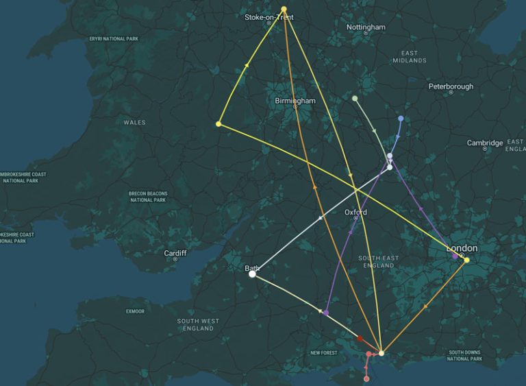 Introducing Places, a new geographical map of your Ancestral Tree | DNA ...