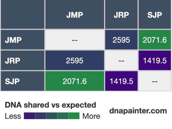 Shared DNA at a glance: the new DNA matrix tool | DNA Painter Blog