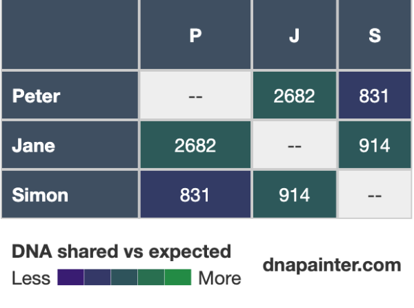 Shared DNA at a glance: the new DNA matrix tool | DNA Painter Blog