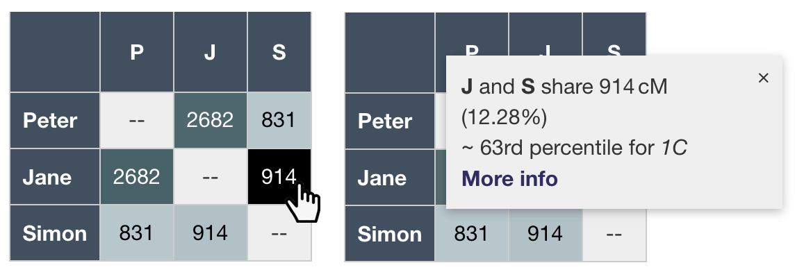 Shared DNA at a glance: the new DNA matrix tool | DNA Painter Blog