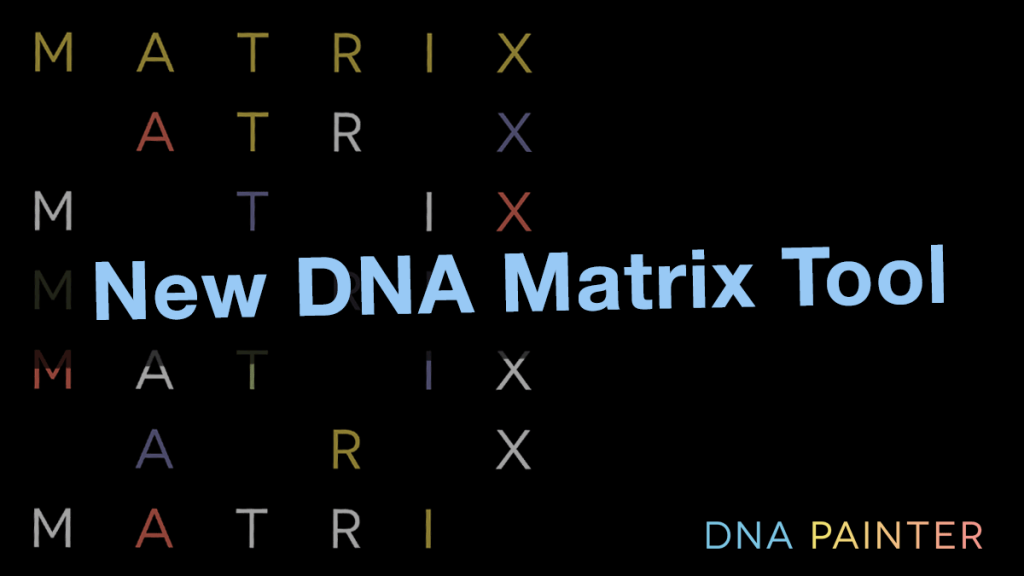 Shared DNA at a glance: the new DNA matrix tool | DNA Painter Blog