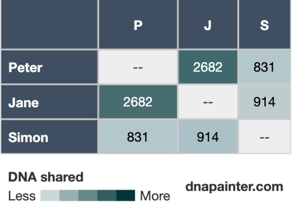 Shared DNA at a glance: the new DNA matrix tool | DNA Painter Blog